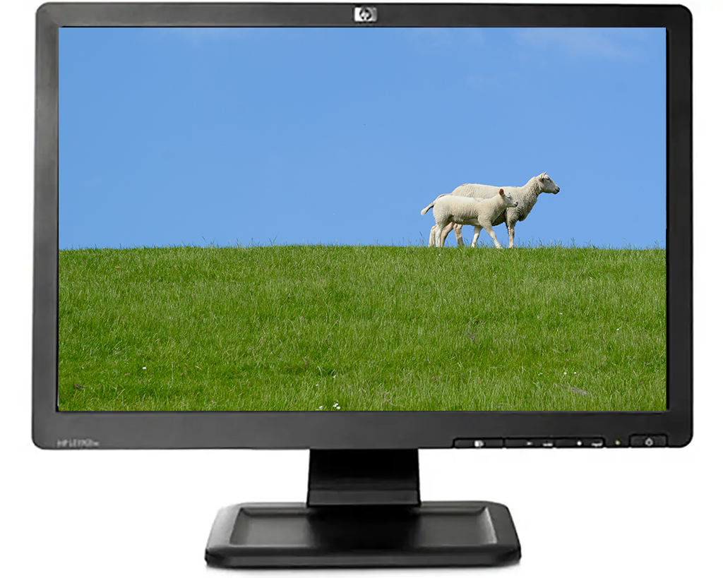 HP LE1901W / Klasa B - Poleasingowy - Gwarancja - Comtrade.pl