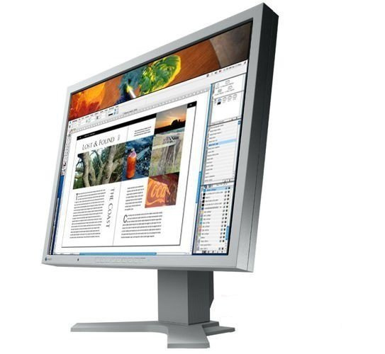 EIZO FlexScan L997 / Klasa A- - sprzęt poleasingowy i używany | Sklep ...